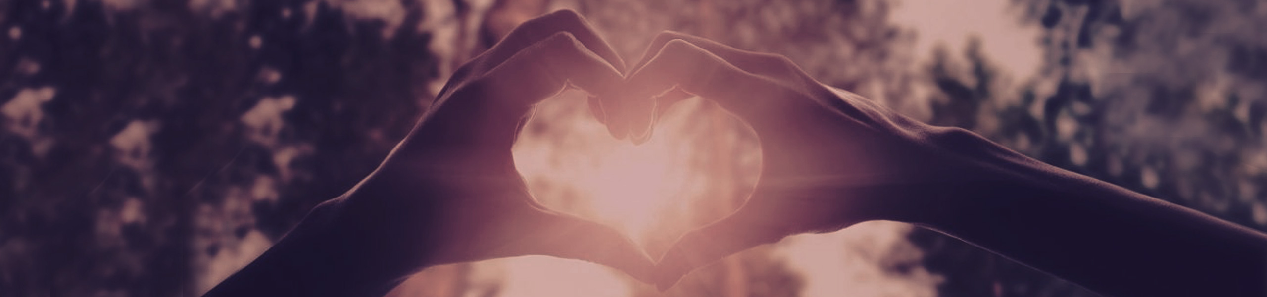 IL PROGETTO – Un Angelo per Capello